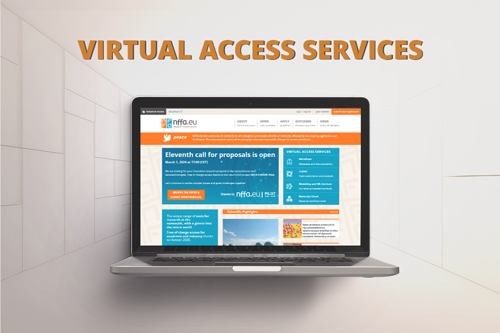 First release of Virtual Access services in the NFFA-Europe Pilot Offer ...